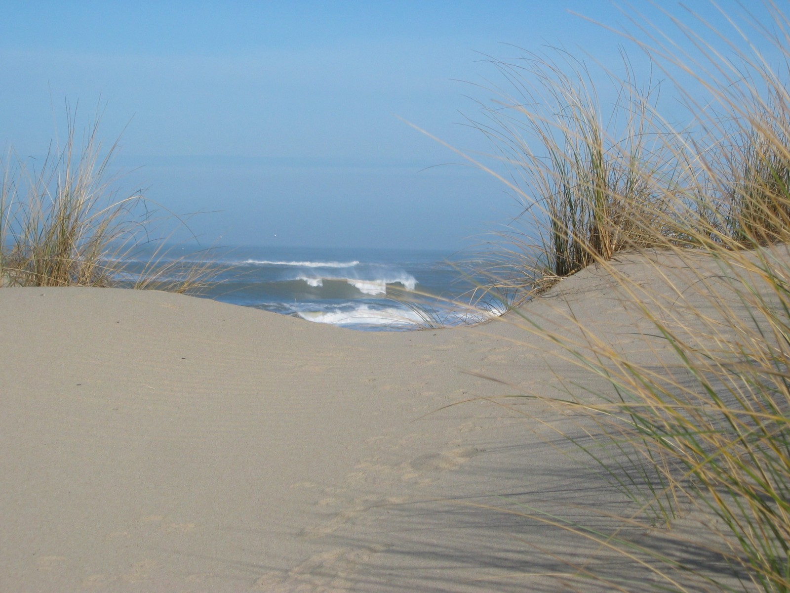 Being an owner - Euronat naturist Resort in France