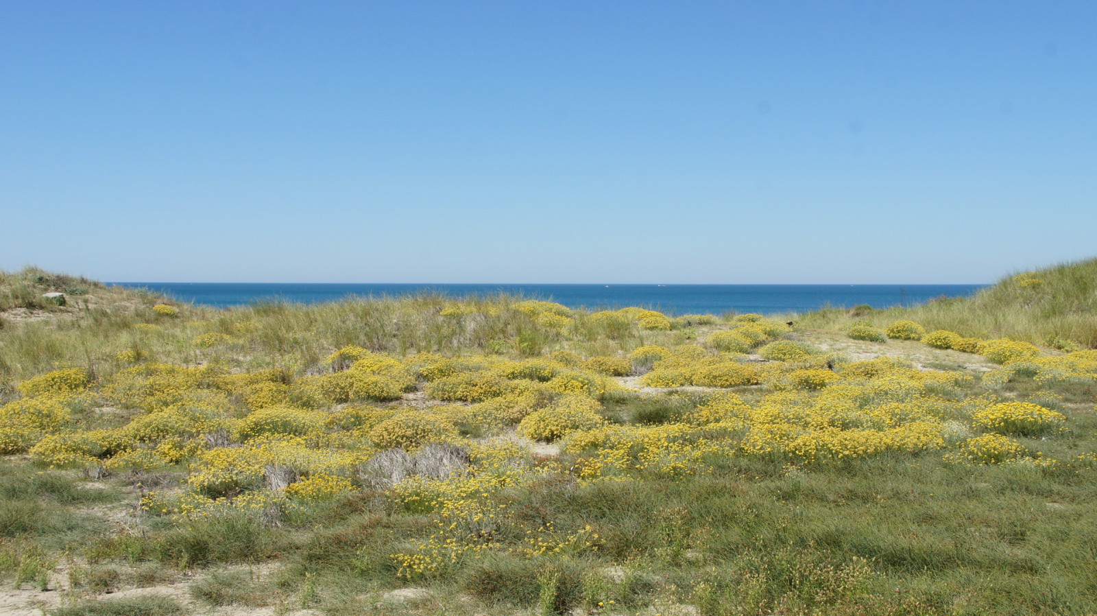 Naturist holidays at Euronat - Accommodations and camping in France