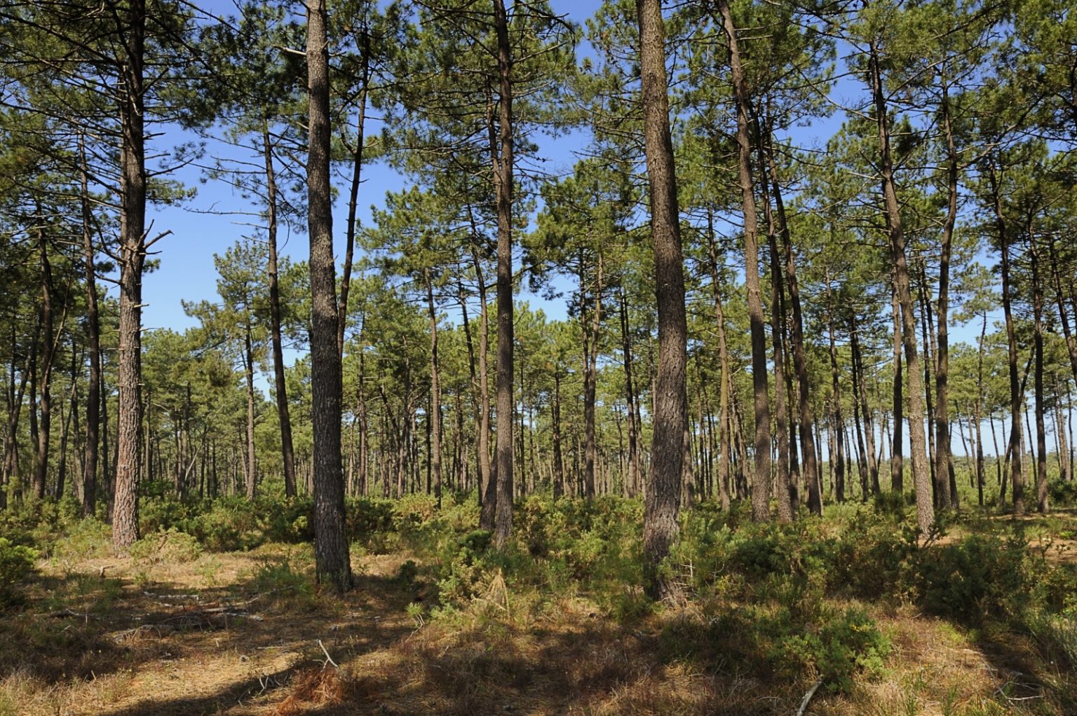 Being an owner - Euronat naturist Resort in France