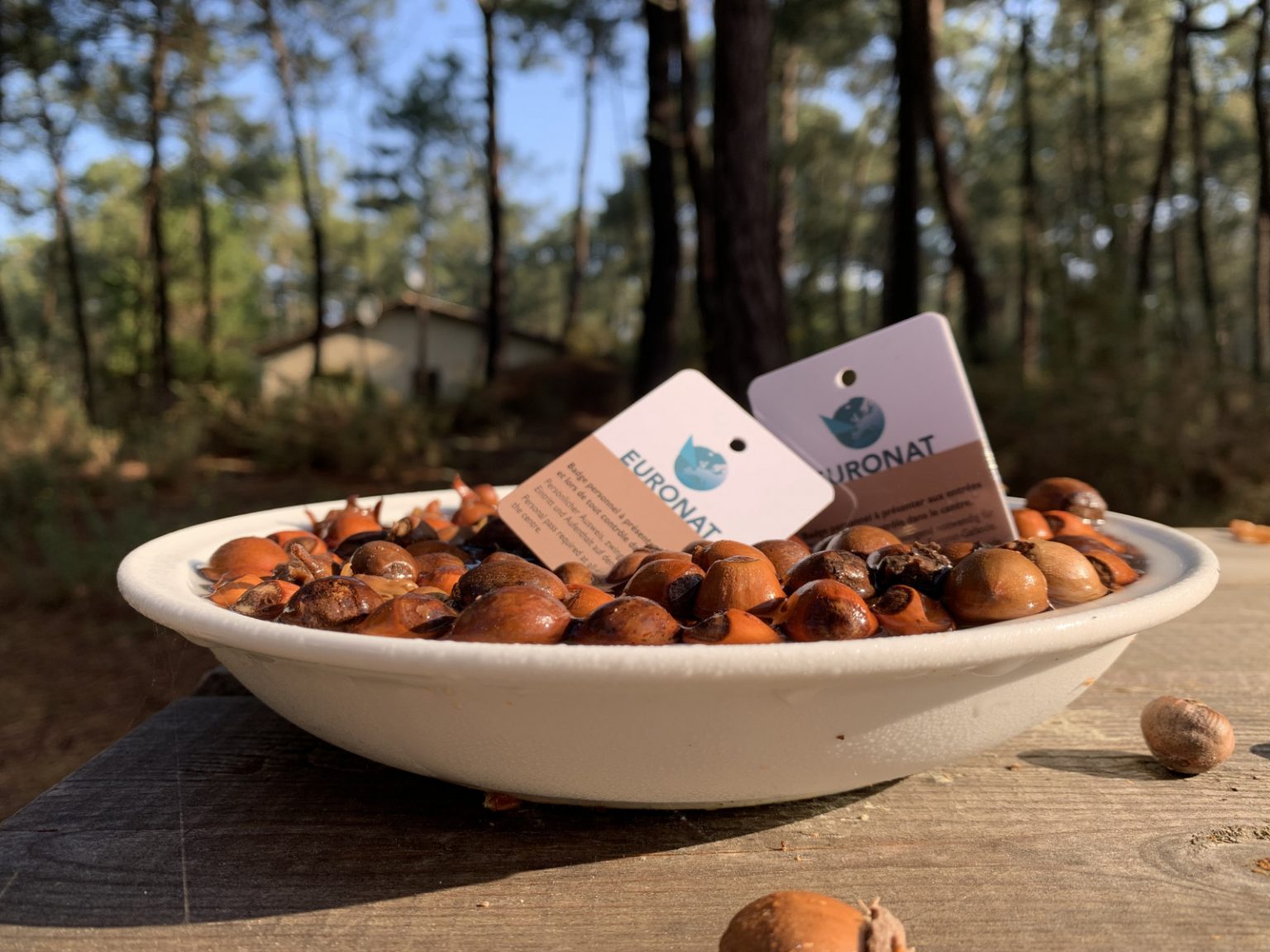 Pass and information about Euronat, naturist resort in France