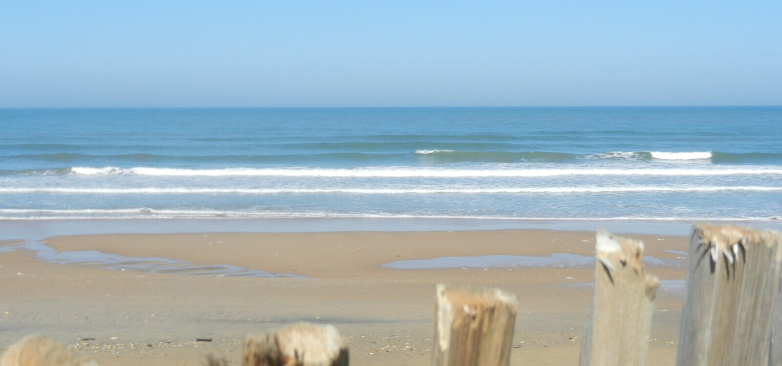 Special offers of the naturist centre Euronat on the atlantic coast